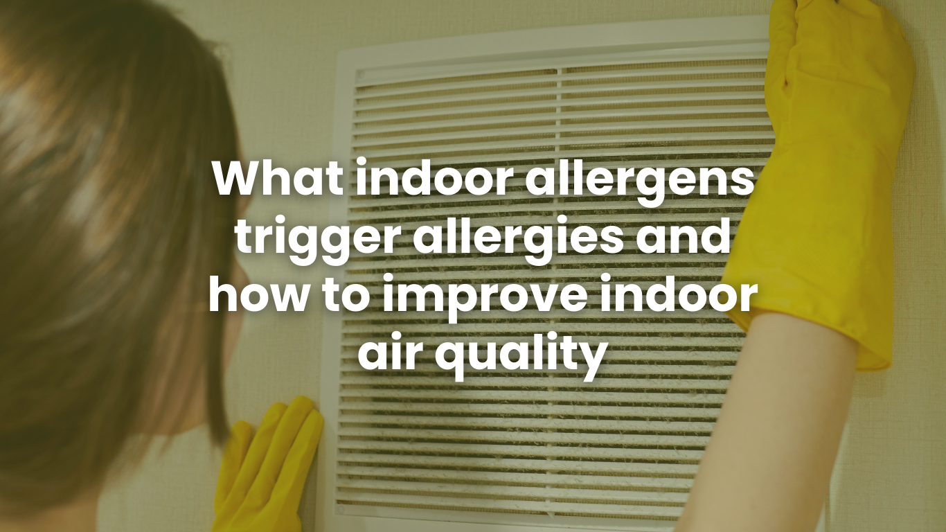 What Indoor Allergens Trigger Allergies and How to Improve Indoor Air ...